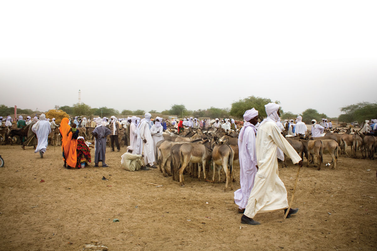 Get Ready • Frontiers USA