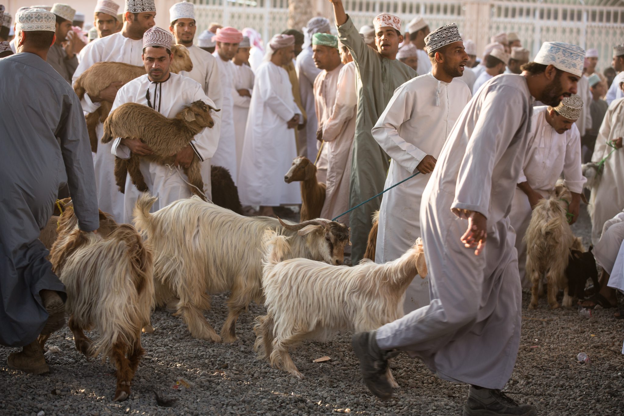 Middle East • Frontiers USA