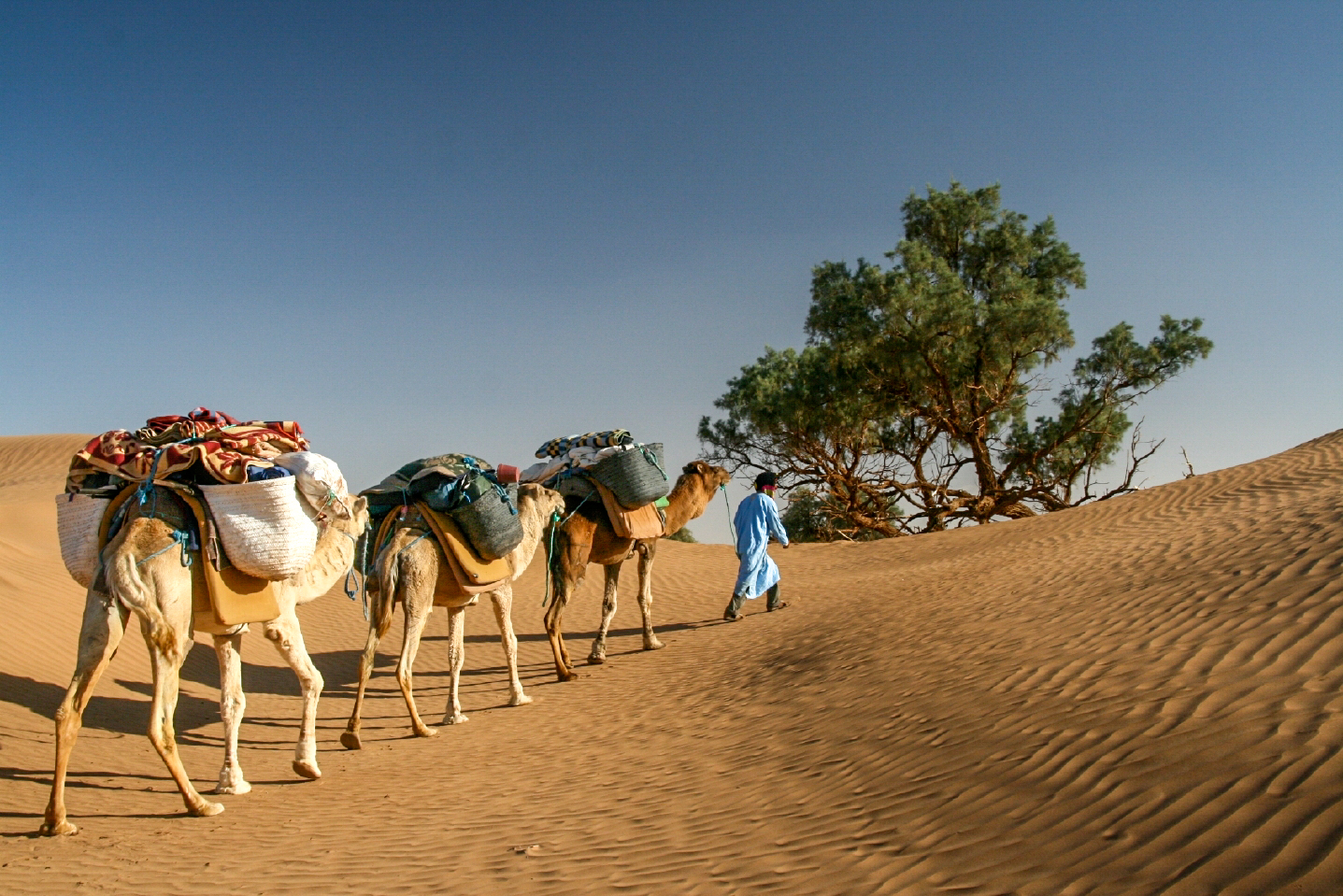 North Africa • Frontiers USA